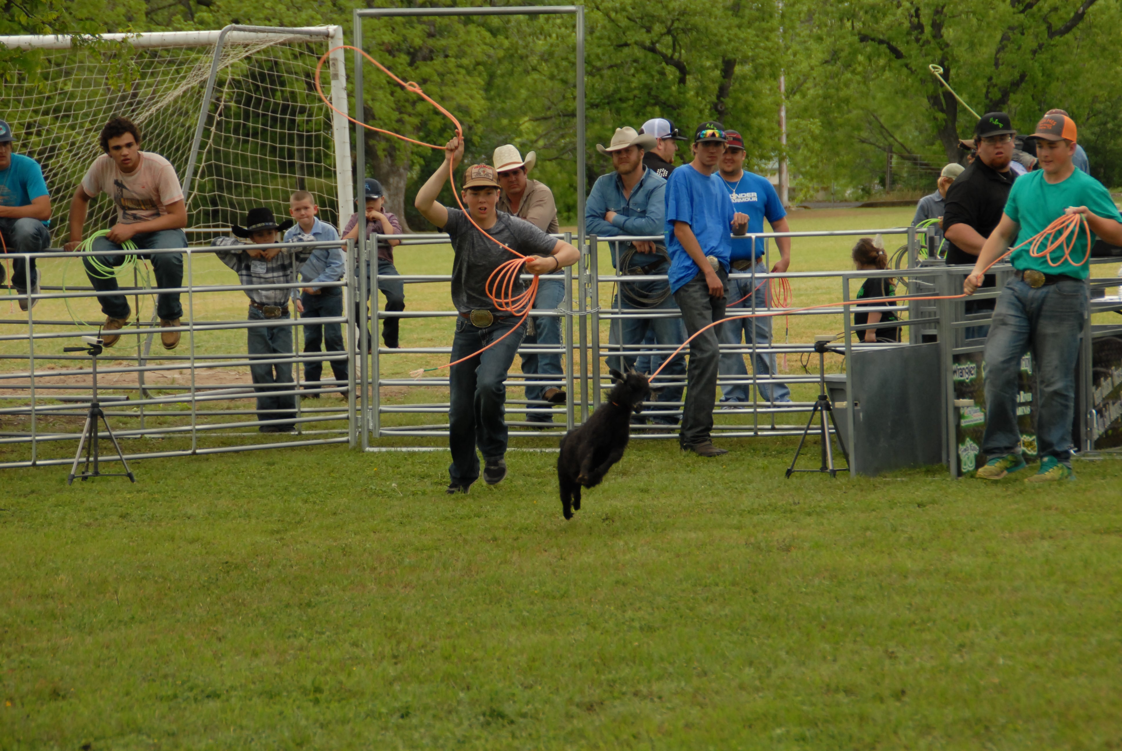 Goat Roping Arenas